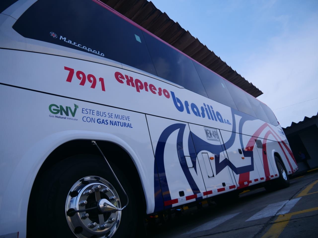 Expreso Brasilia released a new gas vehicle for the Barranquilla ...